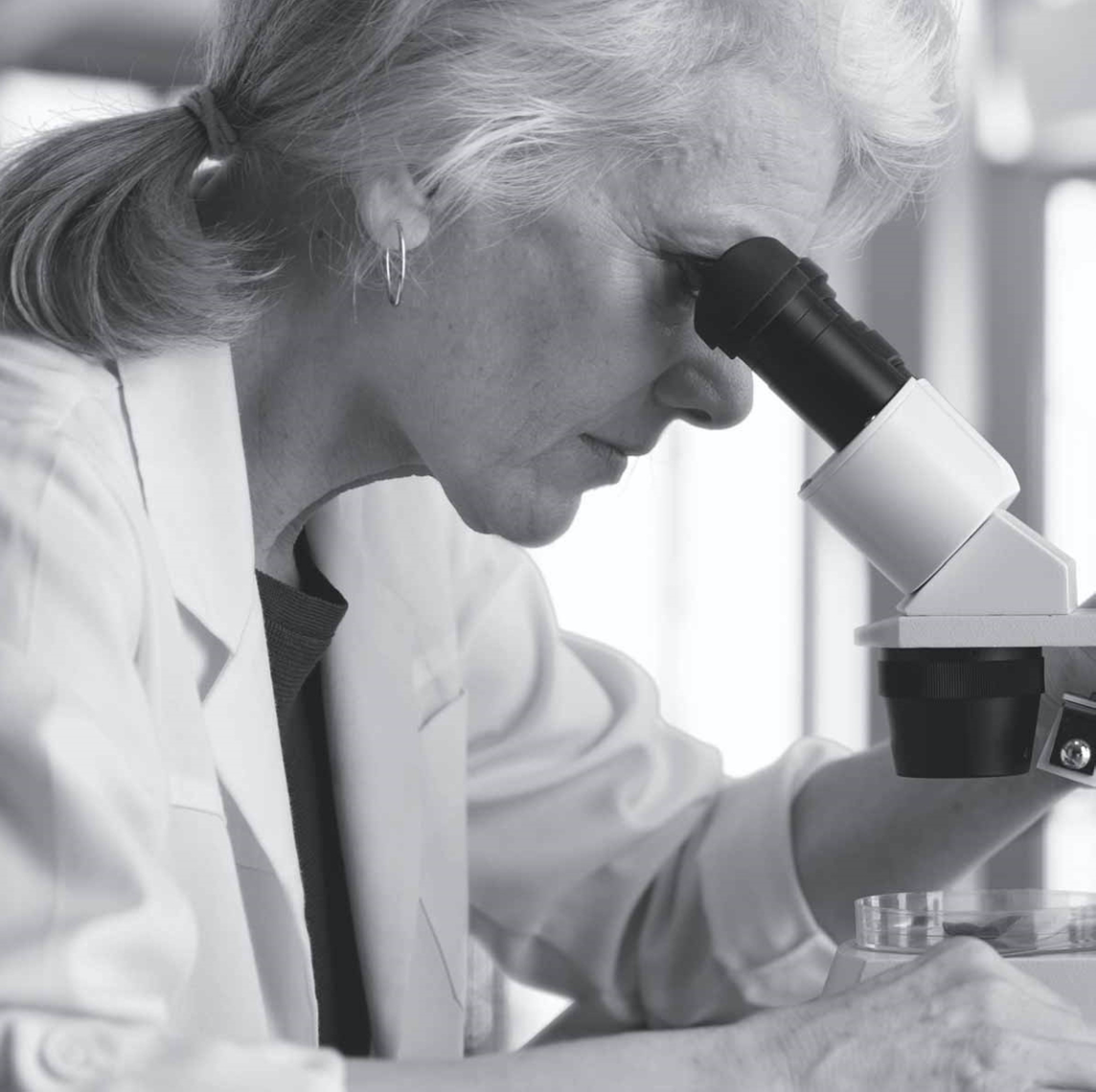 FELISE | Gearing Roles